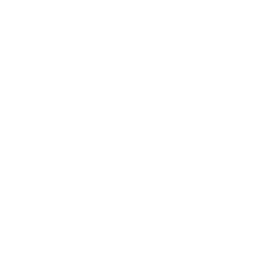 About Us | TechMatrix Consulting - Trusted Salesforce Partner